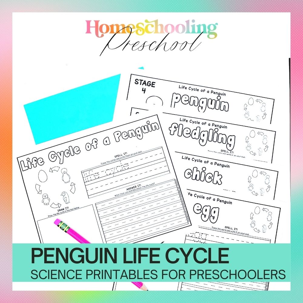 Penguin Life Cycle Activity Sheets – The Sweet Dahlia