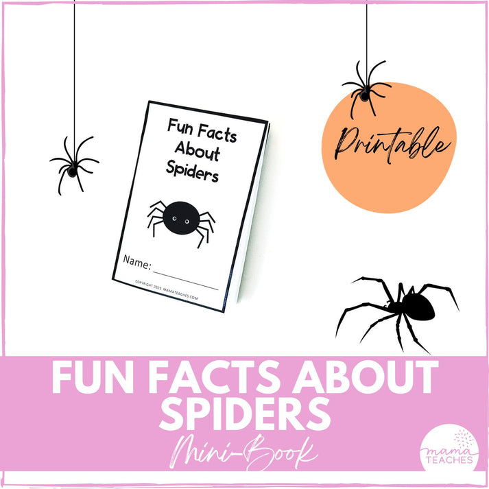 Fun Facts About Spiders Mini-Book – The Sweet Dahlia