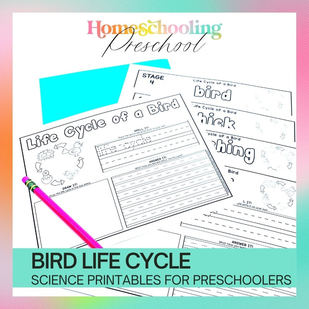 Bird Life Cycle Activity Sheets – The Sweet Dahlia
