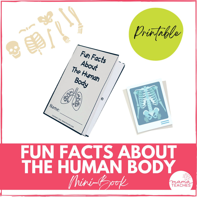 Fun Facts About The Human Body Mini Book – The Sweet Dahlia