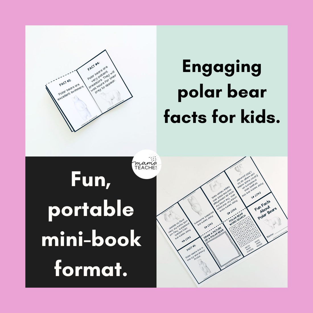 Fun Facts About Polar Bears Mini Book – The Sweet Dahlia